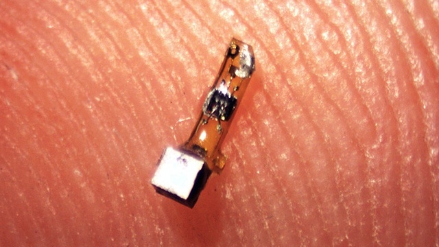 Dust-Sized Sensors Could Create “Electroceuticals” - Tech Briefs Dust-Sized Sensors Could Create “Electroceuticals” - Tech Briefs