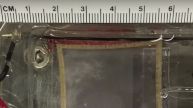 Beating Heart Patch is Large Enough to Repair the Human Heart - Medical ...