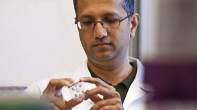 Implantable Bioartificial Kidney Achieves Preclinical Milestone ...